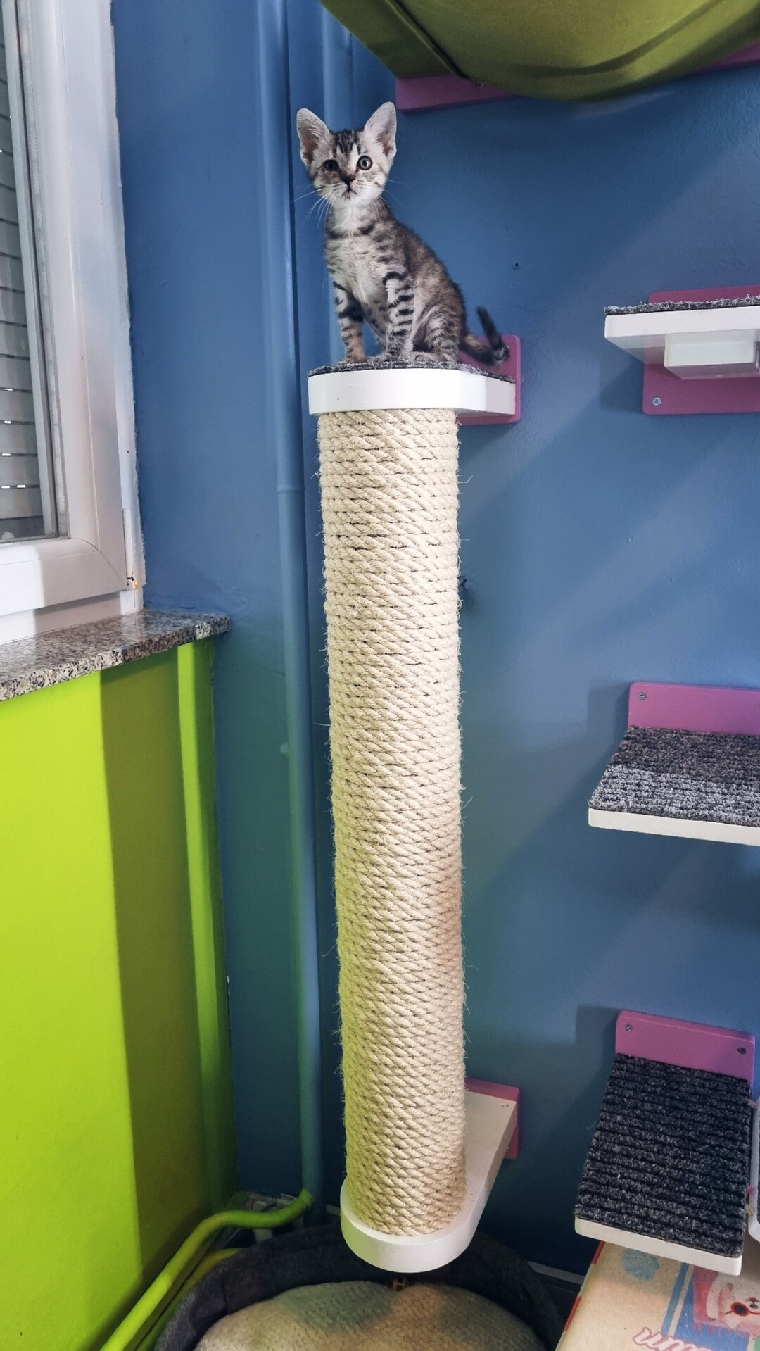Mounty Post, Cat Scratching Pole, Cat Post, Cat Climber, Cat Tree - Etsy