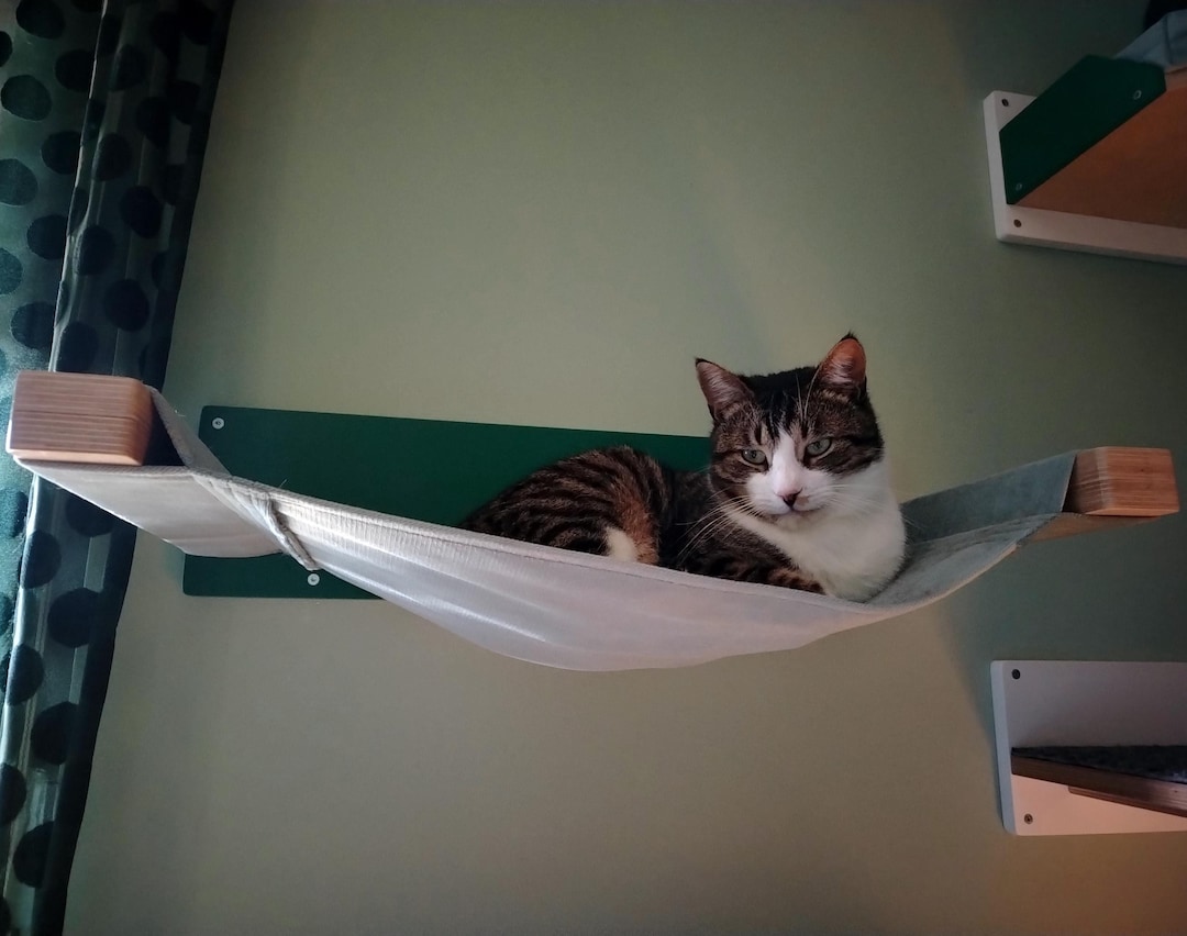 Wally Bigcat Cot - Wall Cat Hammock, Cot Bed Ideal for Medium to Large ...