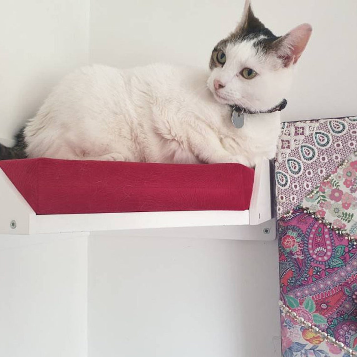 Wally Corner Plus Wall Mounted Cat Corner Shelf With a - Etsy