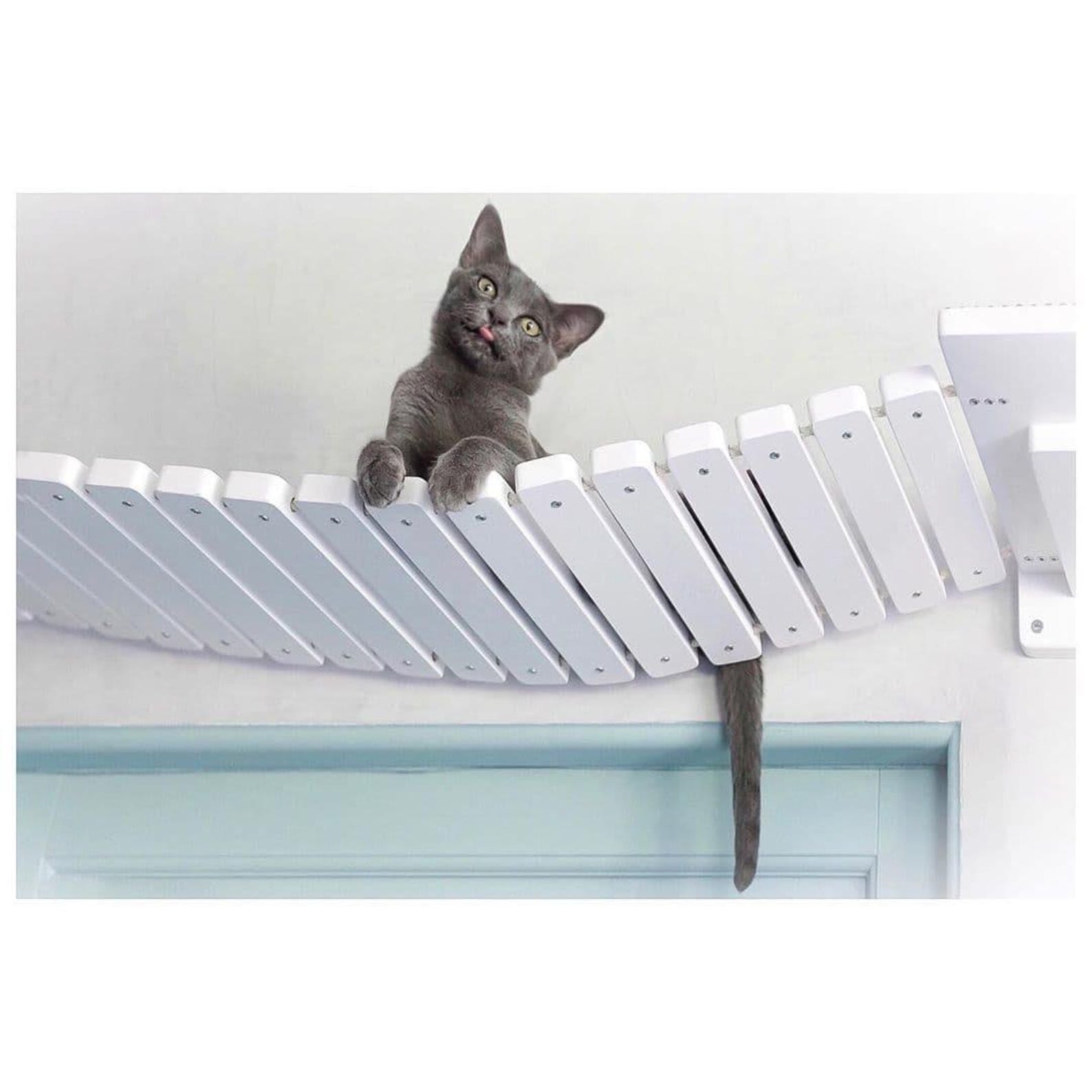 Wally Bridge (1-step - Flat Mount) - Wall Cat Bridge With a Step on One ...