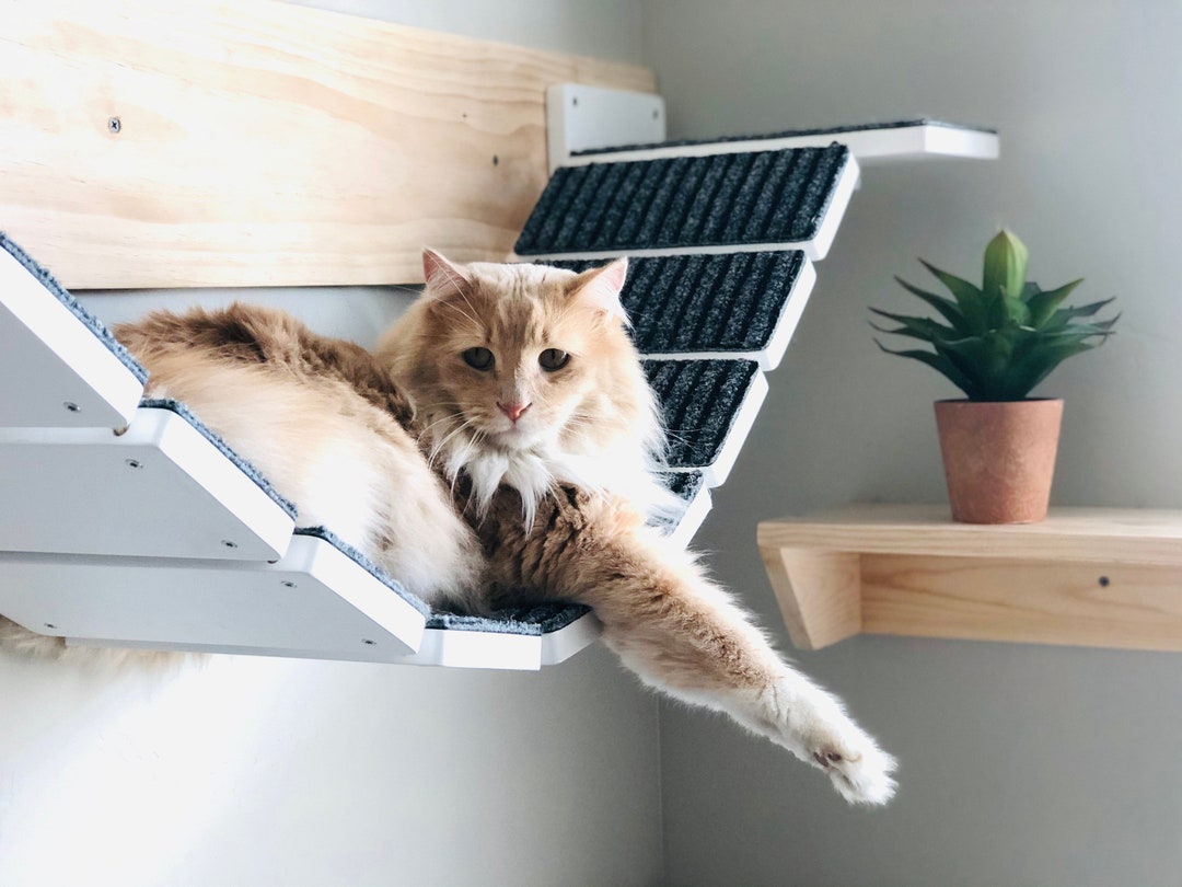 Wally Widebridge (solo - 1step Mount), Cat Bridge, Wall Mounted, Cat ...