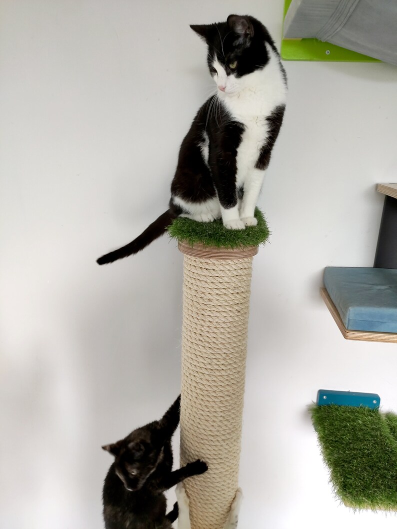 Mounty Post Cat Scratching Pole Cat Post Cat Climber Cat - Etsy
