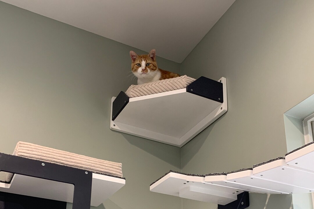 Wally Corner Plus, Wall Mounted Cat Corner Shelf With a Bed Cushion - Etsy