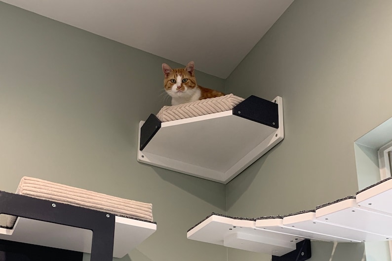 Wally Corner Plus Wall Mounted Cat Corner Shelf With a - Etsy