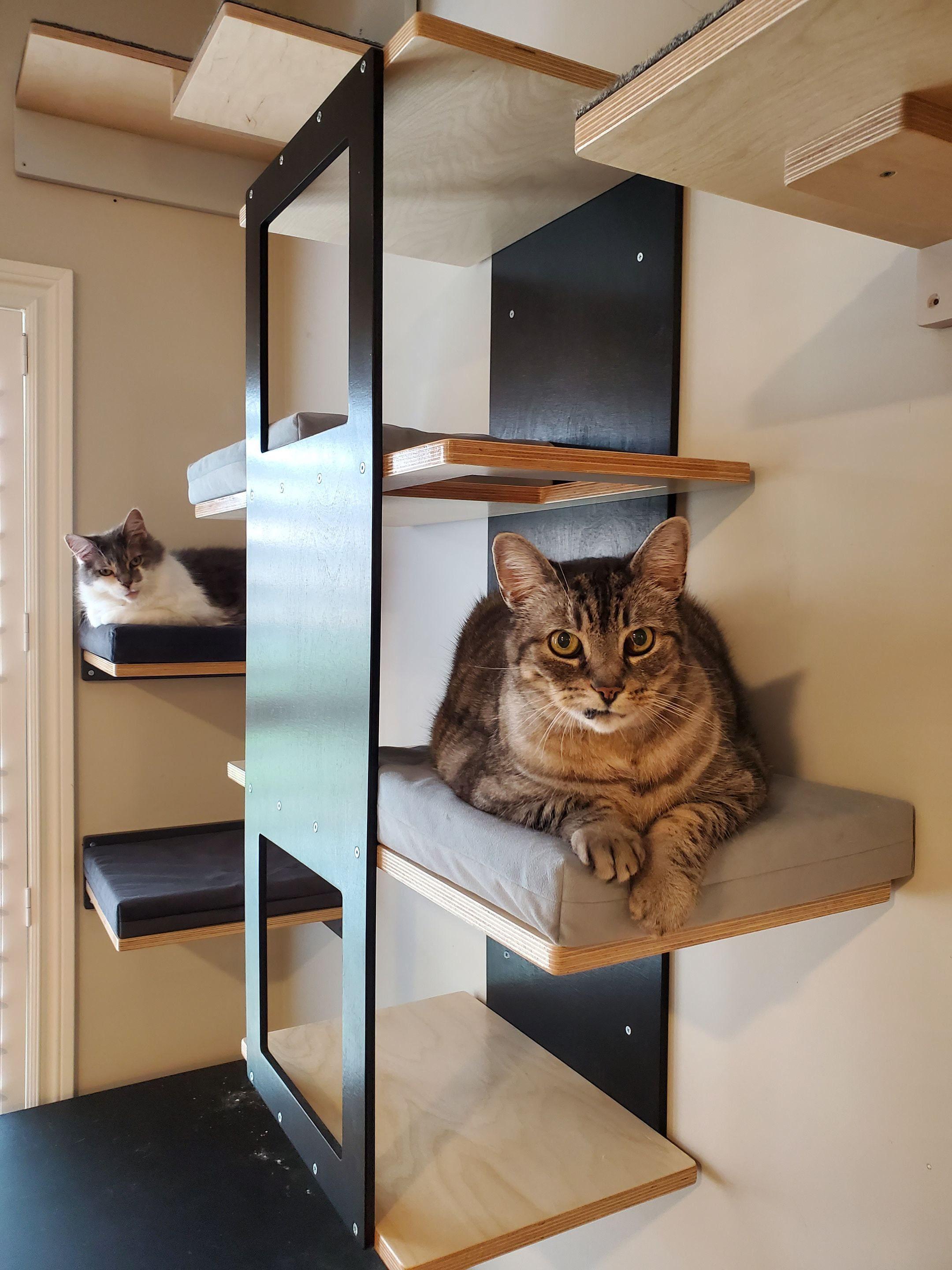 Wally Bigcat Stacker, Wall Mounted Cat Shelf for Large Cats, Multilevel ...