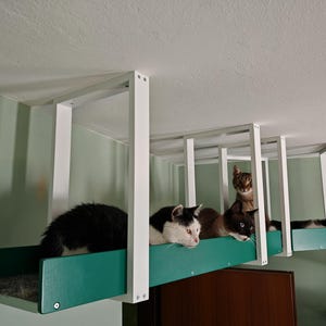 Wally Skyway - Ceiling-mounted Cat Shelf, Feline Highway, Walkway - Etsy