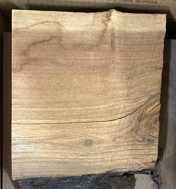 Walnut Sapwood