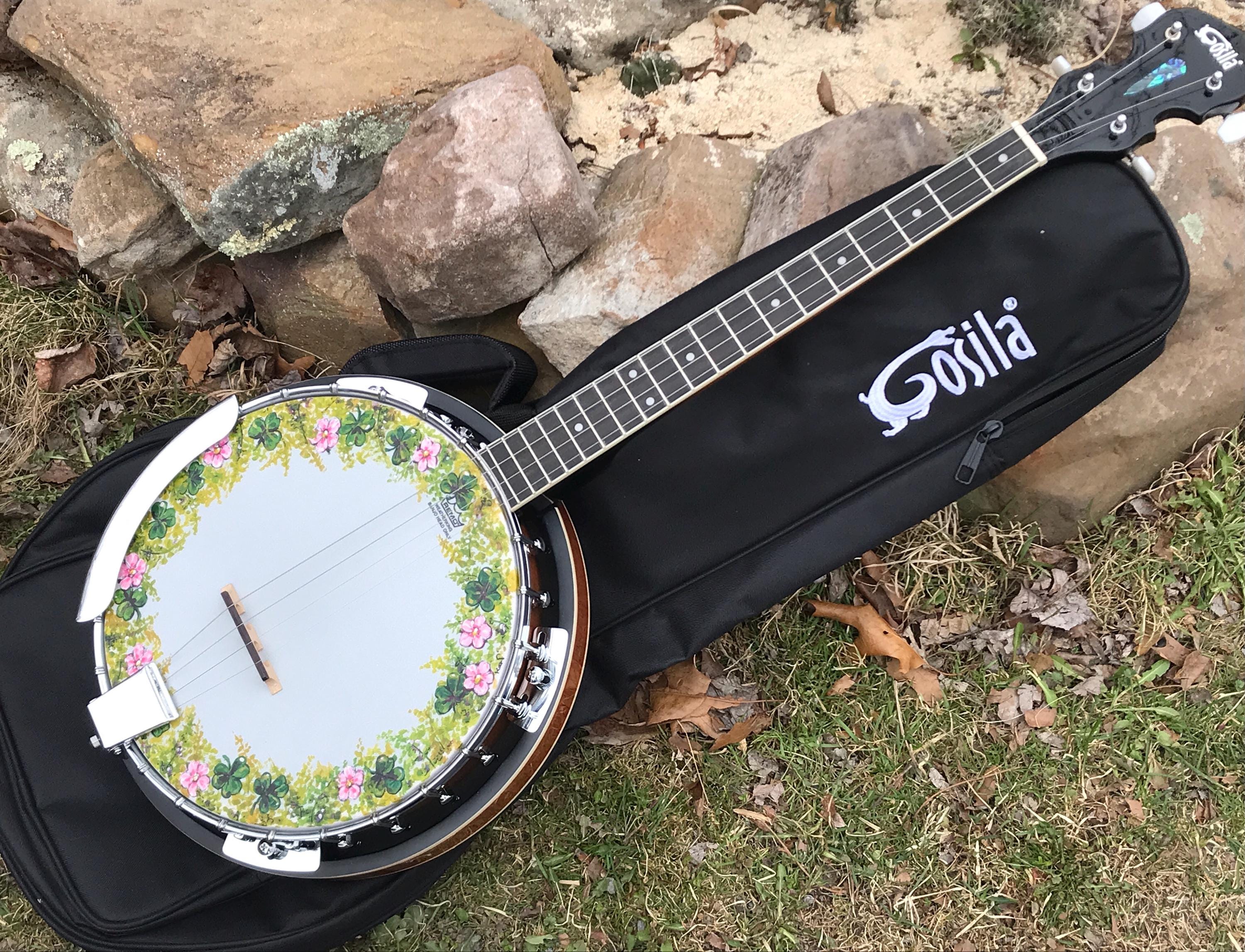 4-string Tenor/irish Banjo W/resonator: Shamrock/fern or Wildflower ...