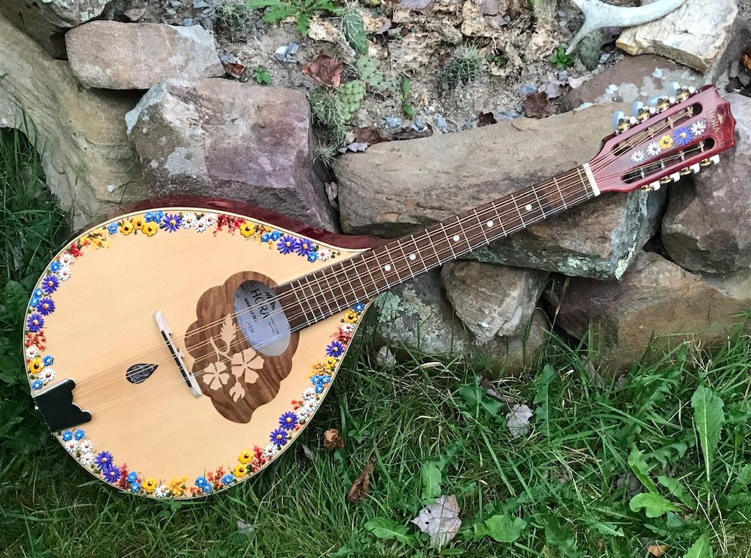 Mandola - Wildflower Border Design - Etsy