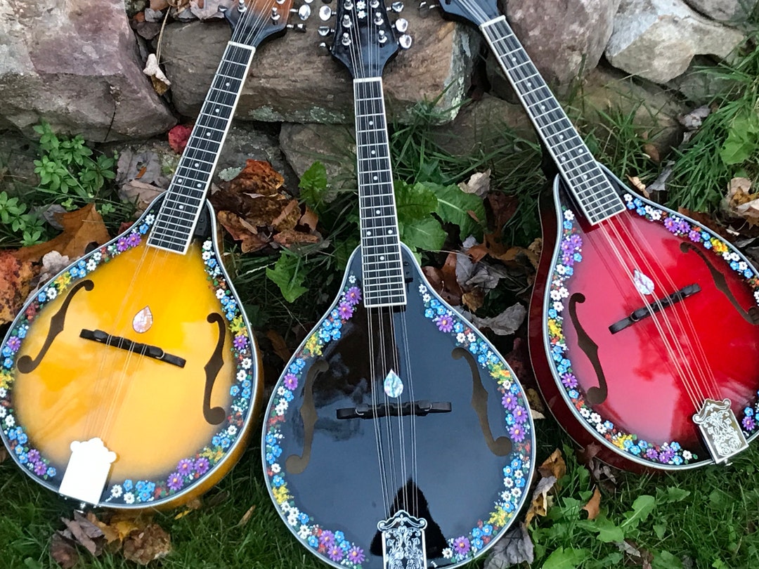 Hand-painted Mandolin: Wildflower Meadow Design - Etsy