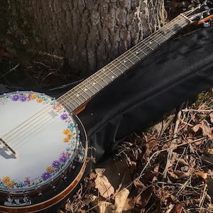 5-string Banjo, or 6-string Guitar-banjo, W/resonator: Wildflower ...
