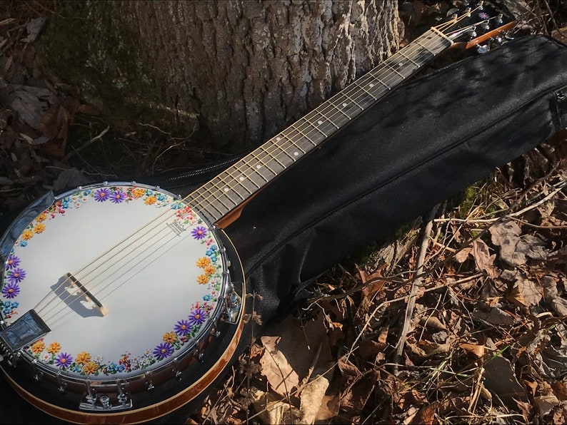 5-string Banjo, or 6-string Guitar-banjo, W/resonator: Wildflower ...