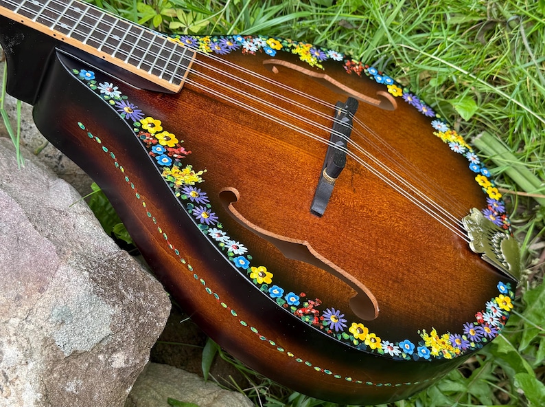 Hand-painted Deluxe Mandolin: Wildflower Meadow Design - Etsy