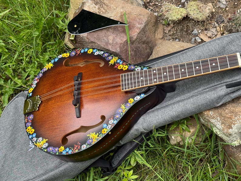 Hand-painted Deluxe Mandolin: Wildflower Meadow Design - Etsy