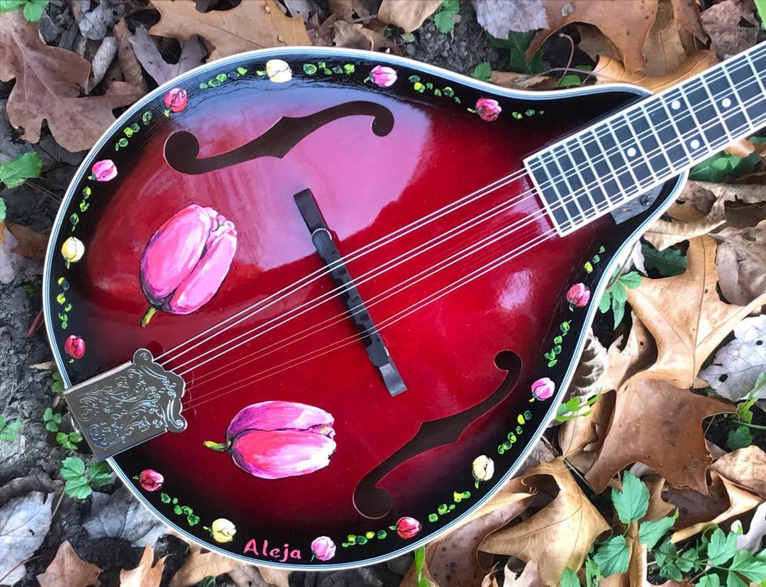 Hand-painted Mandolin: Rose Design - Etsy