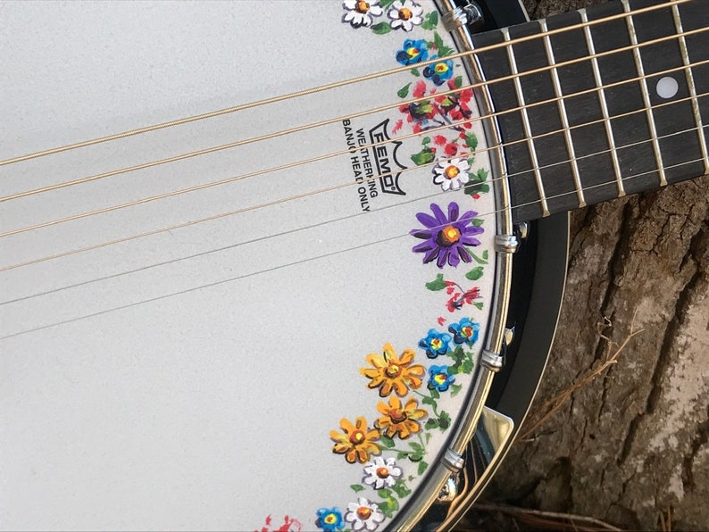 5-string Banjo, or 6-string Guitar-banjo, W/resonator: Wildflower ...