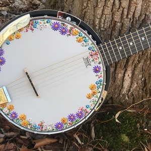 5-string Banjo, or 6-string Guitar-banjo, W/resonator: Wildflower ...