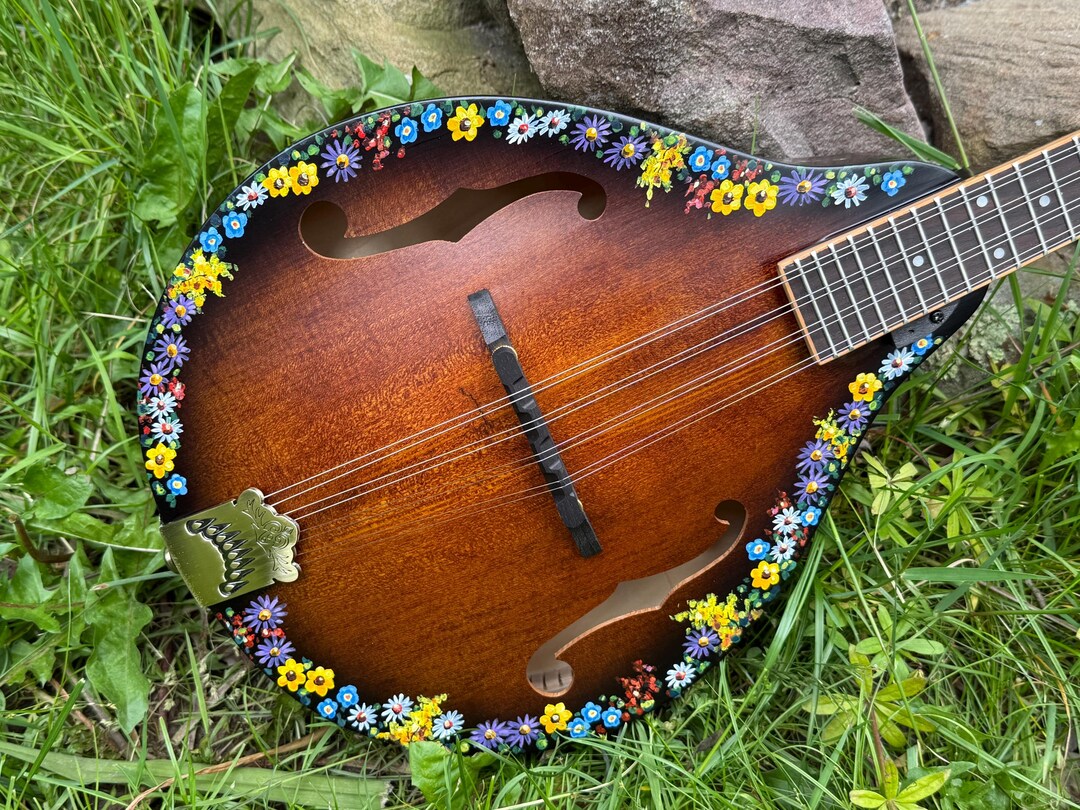 Hand-painted Deluxe Mandolin: Wildflower Meadow Design - Etsy