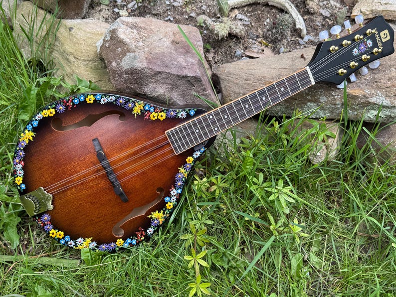 Hand-painted Deluxe Mandolin: Wildflower Meadow Design - Etsy
