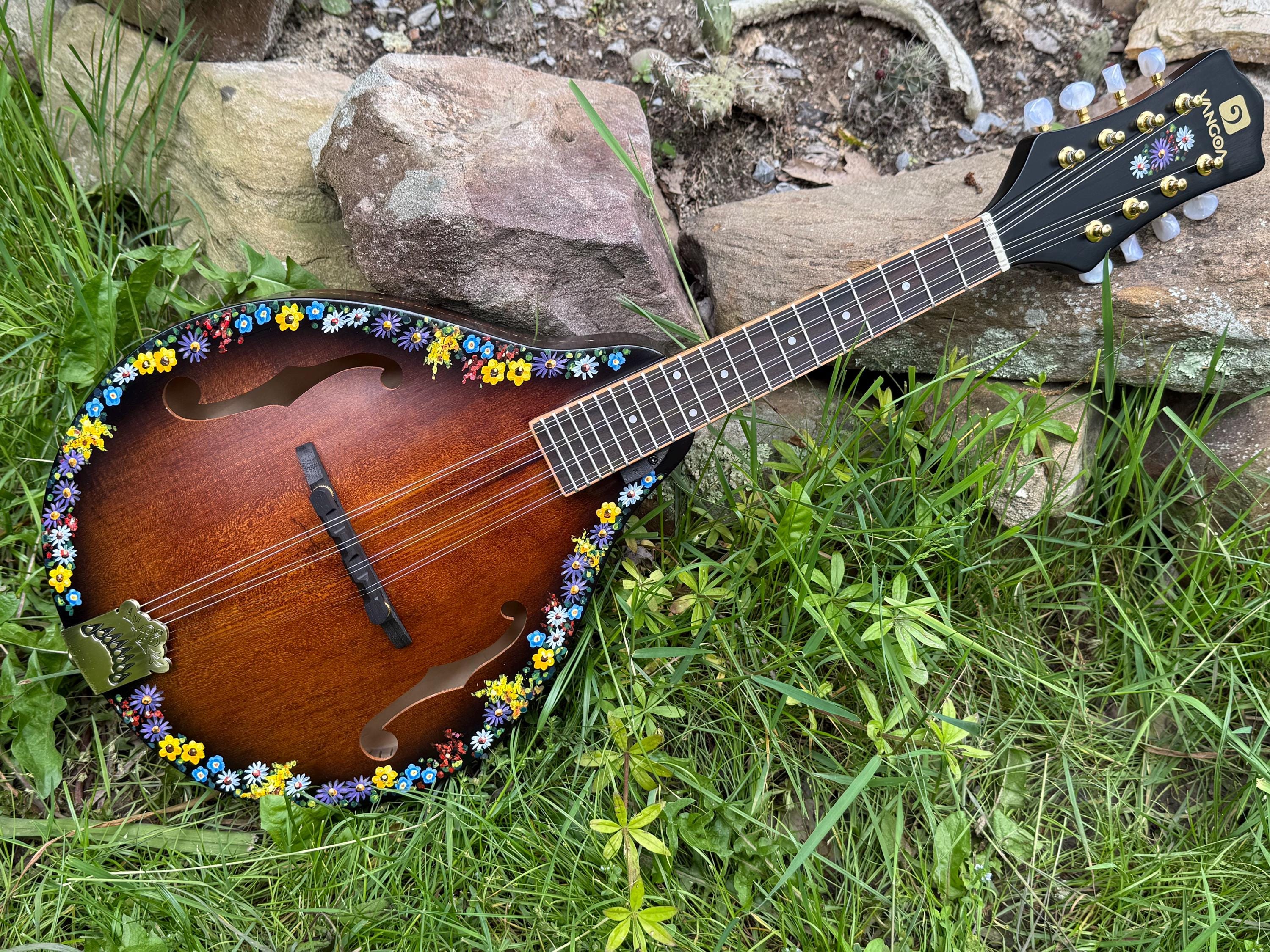 Hand-painted Deluxe Mandolin: Wildflower Meadow Design - Etsy