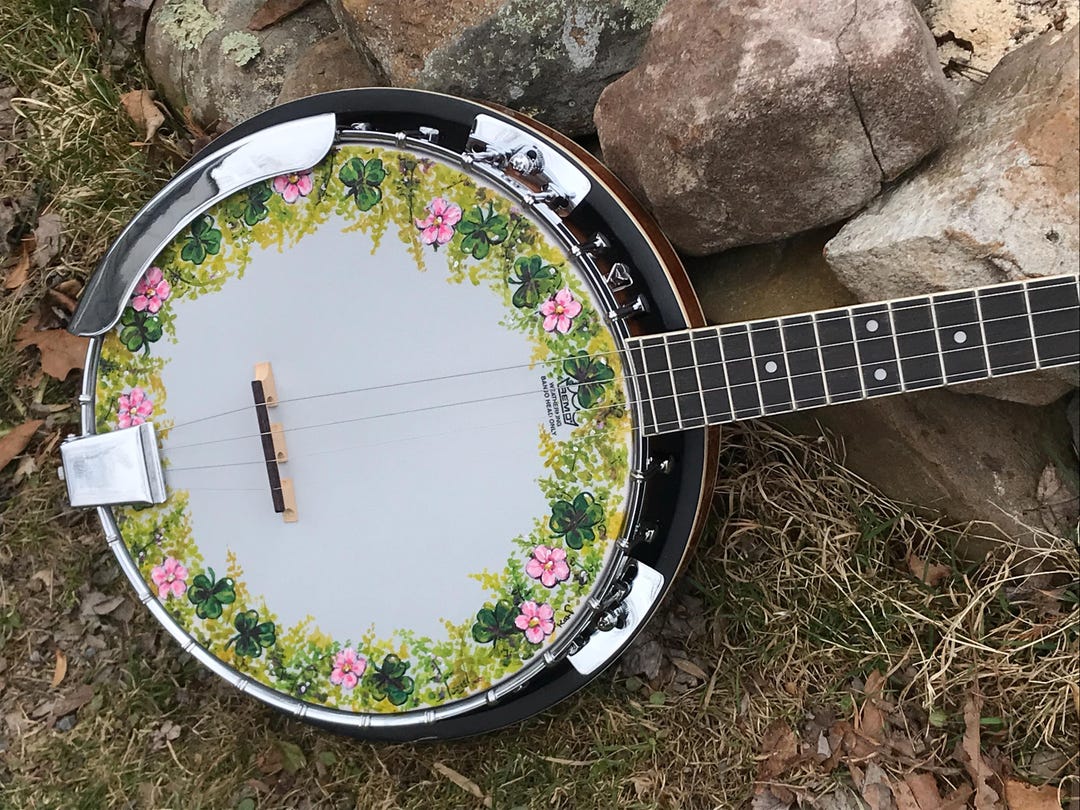 4-string Tenor/irish Banjo W/resonator: Shamrock/fern or Wildflower ...