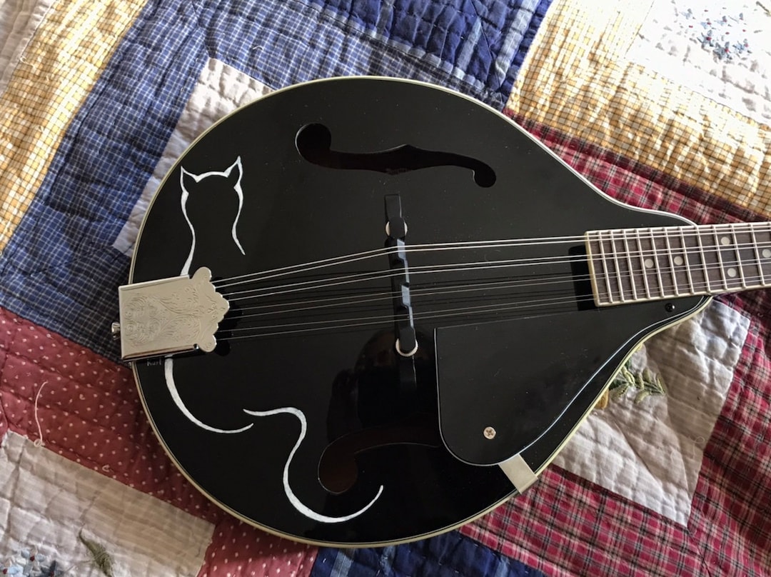 Hand-painted Mandolin: Cattitude Design - Etsy
