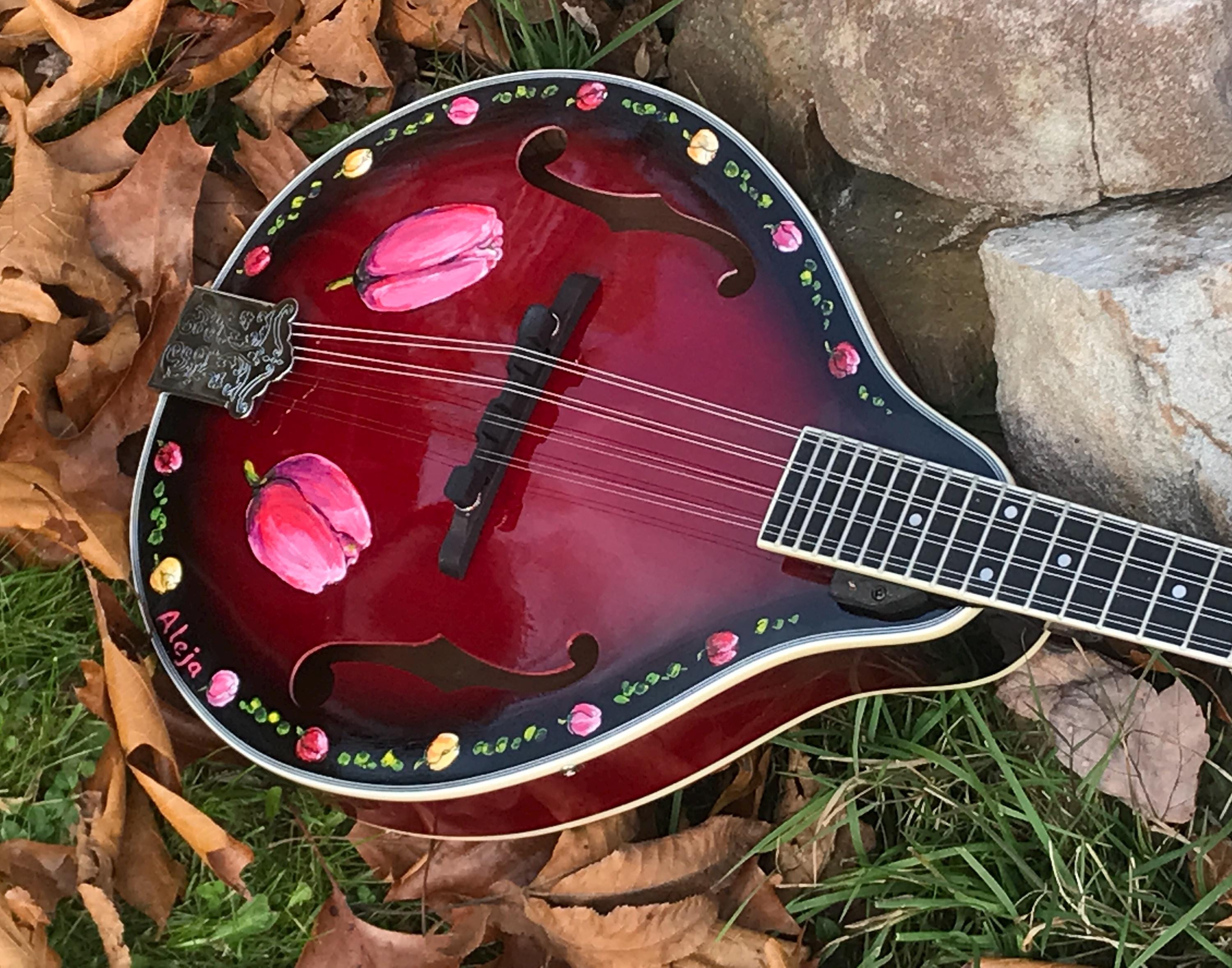 Hand-painted Mandolin: Rose Design - Etsy