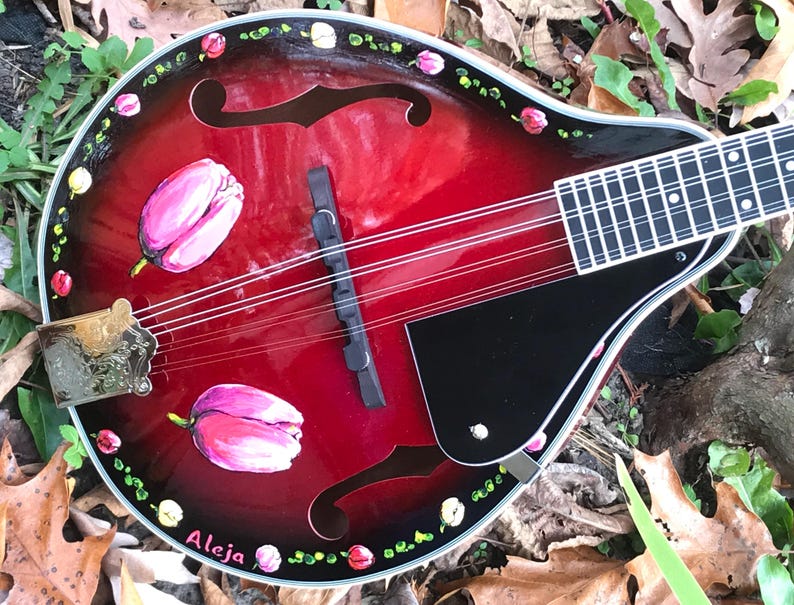 Hand-painted Mandolin: Rose Design - Etsy