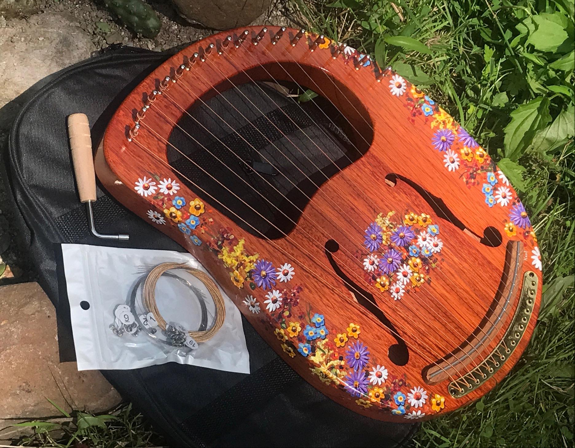 Hand-decorated Lyre Harp - 16-string, Hollow, Deluxe Wildflower Meadow ...