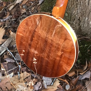 5-string Banjo, or 6-string Guitar-banjo, W/resonator: Wildflower ...