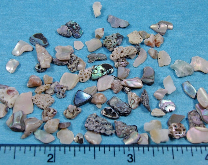 Mini Abalone Chips 1/81/2 1 Tsp. Abt.100 Pieces Seashell Art, Jewelry ...