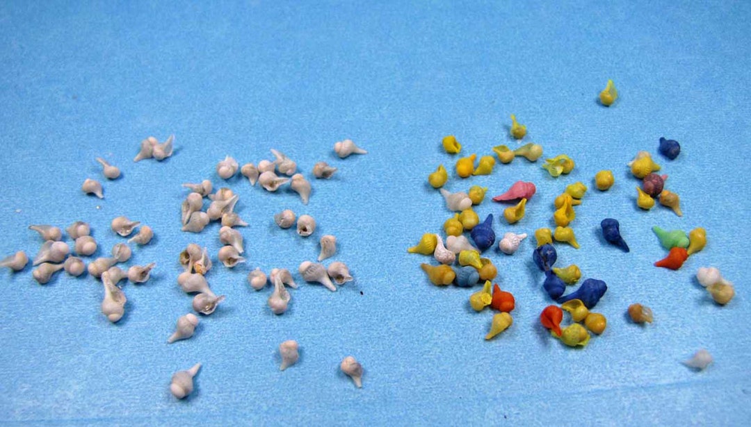 MICRO BARGIN Baby Whelk Shell100 1/8 1/4 Choice Natural or Dyed ...