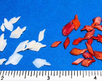 Craft Supplies & Tools Dyed Red Gar Scales 12-1 12 Taxidermy Crafts ...
