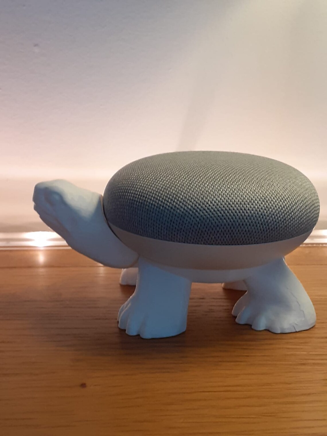 Tortoise / Turtle Holder for Google Home Mini / Nest Stand - Etsy