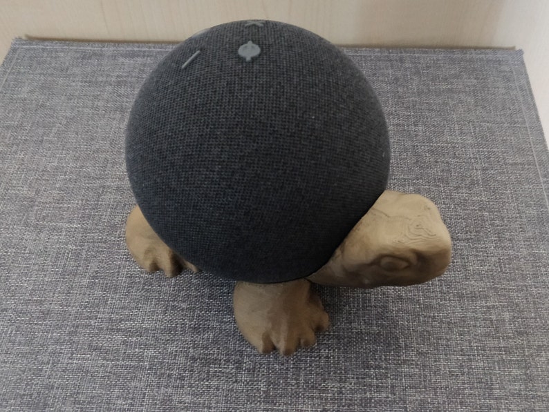 Tortoise / Turtle Holder for Amazon Echo Dot 4th Gen / Alexa | Etsy