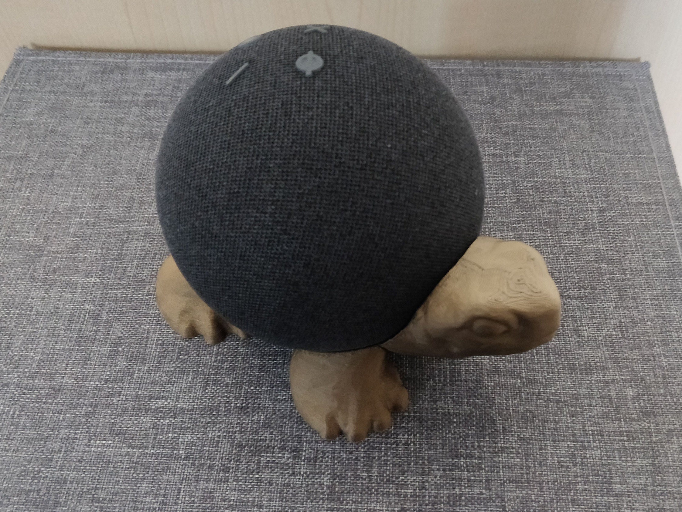 Tortoise / Turtle Holder for Amazon Echo Dot 4th Gen / Alexa | Etsy