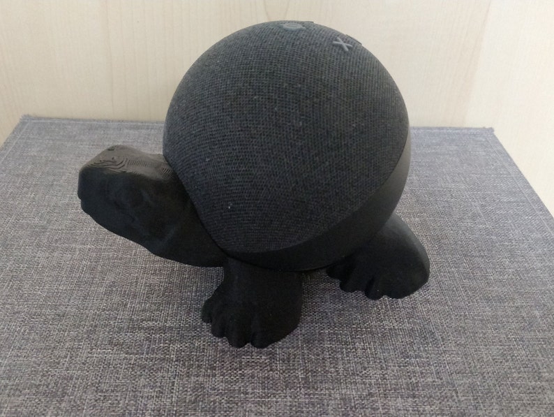 Tortoise / Turtle Holder for Amazon Echo Dot 4th Gen / Alexa | Etsy