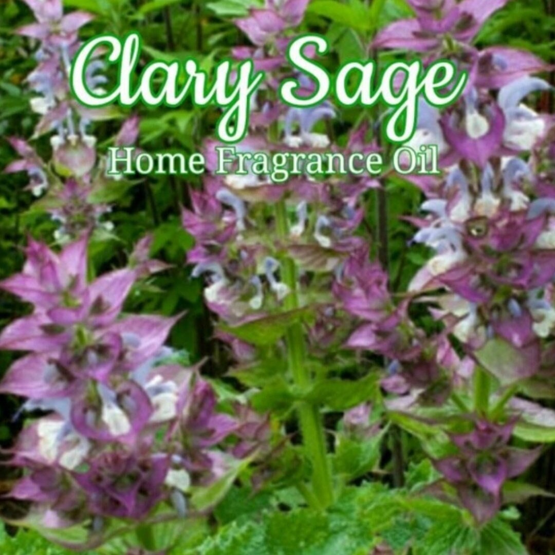 Clary Sage Aromatherapy Oil Diffuser Oil Home Fragrances - Etsy