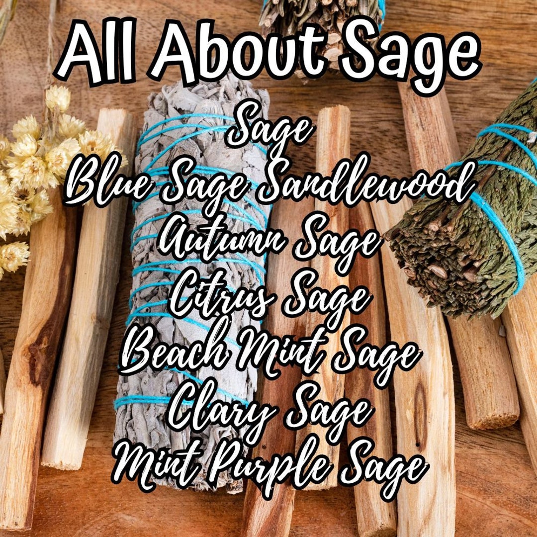 Aromatherapy Oil Diffuser Oil Home Fragrance Oil SAGE Bundle - Etsy