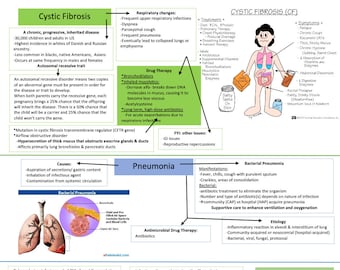 Mechanical Ventilation/ventilation/asthma/copd/tb/pneumonia/nursing School/ Nursing Study Guide ...