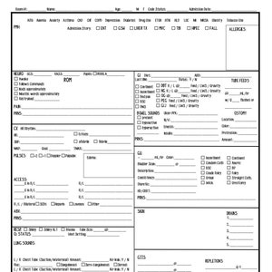STICU Nursing Report Sheet - Etsy