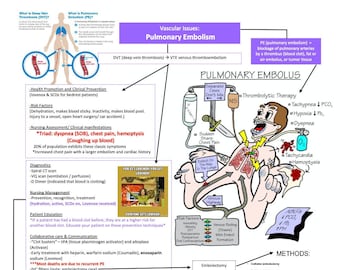 Mechanical Ventilation/ventilation/asthma/copd/tb/pneumonia/nursing School/ Nursing Study Guide ...