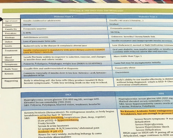 GI Disorders Chart | GI Disorders | GI System - Etsy Canada