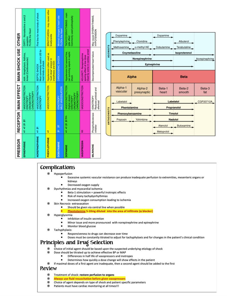Vasopressors & Inotropes: SHOCK Nursing Student Study Guide - Etsy