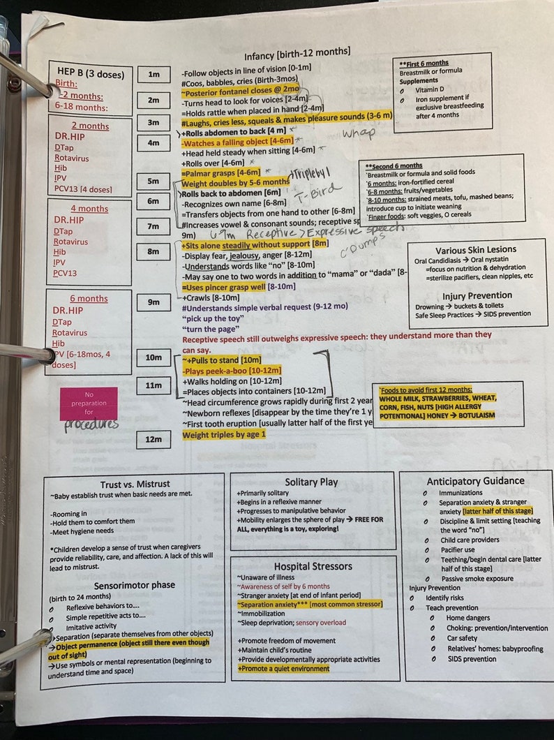 Infancy Overview: Pediatric Nursing Study Guide - Etsy