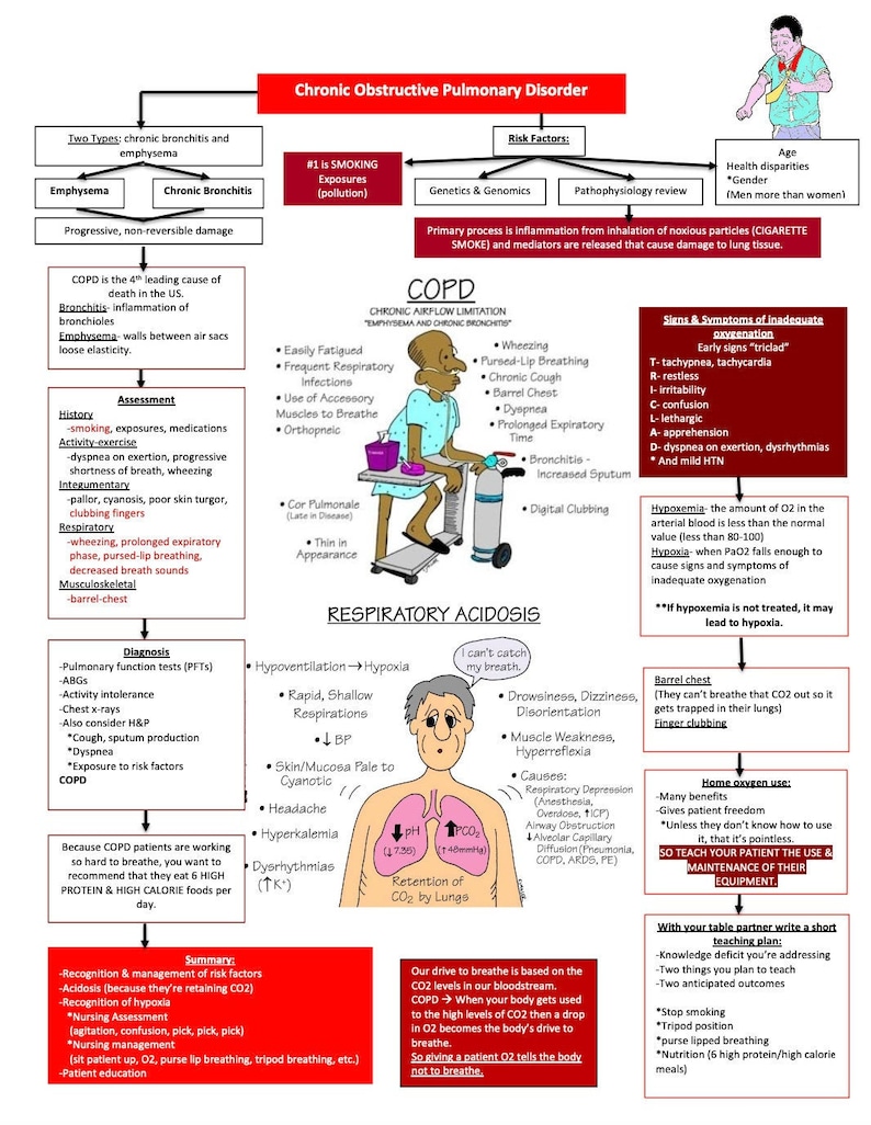 COPD Overview/ventilation/asthma/copd/tb/pneumonia/nursing | Etsy