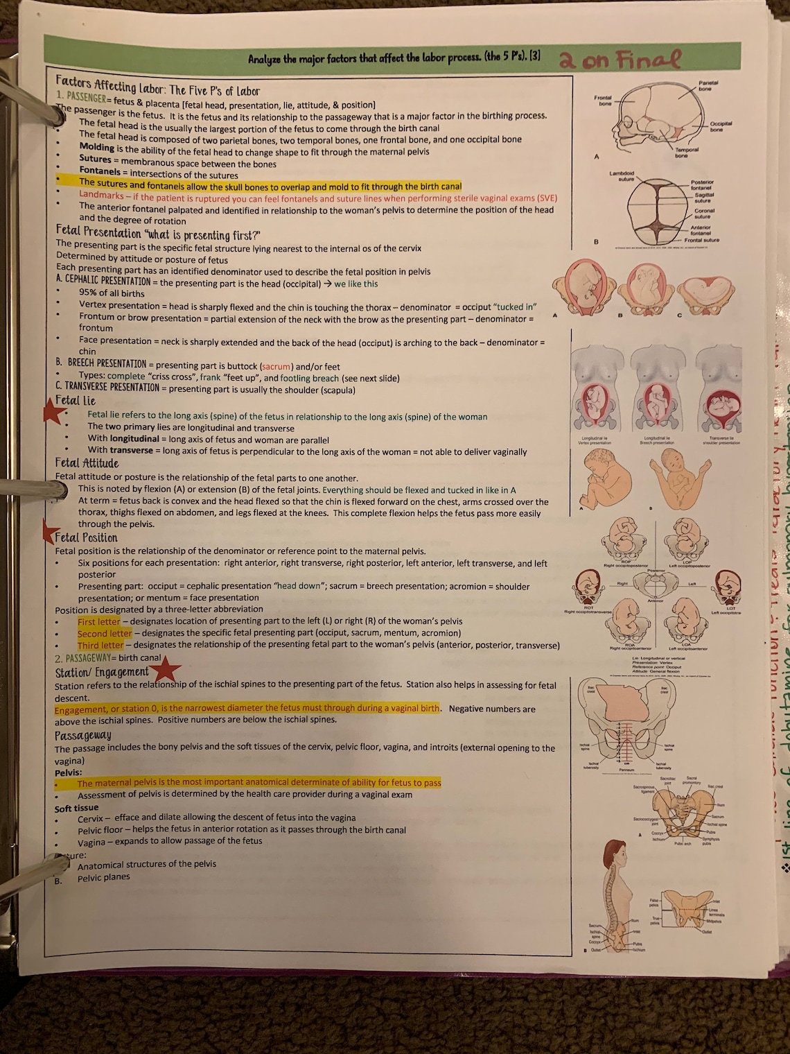 Antepartum, Intrapartum, Newborn, & OB Drug Cards: Maternity/obstetrics ...