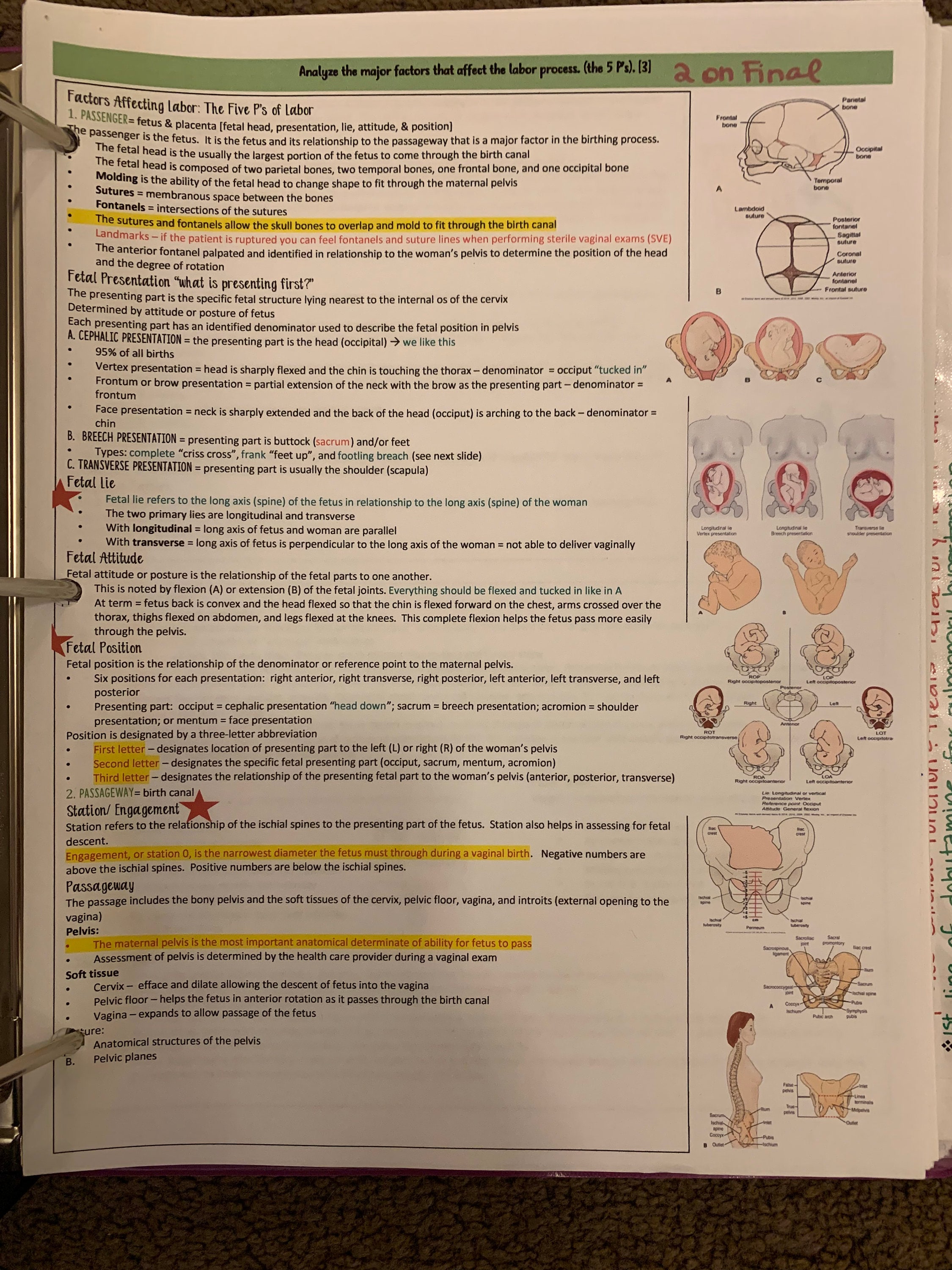 Antepartum, Intrapartum, Newborn, & OB Drug Cards: Maternity/obstetrics ...