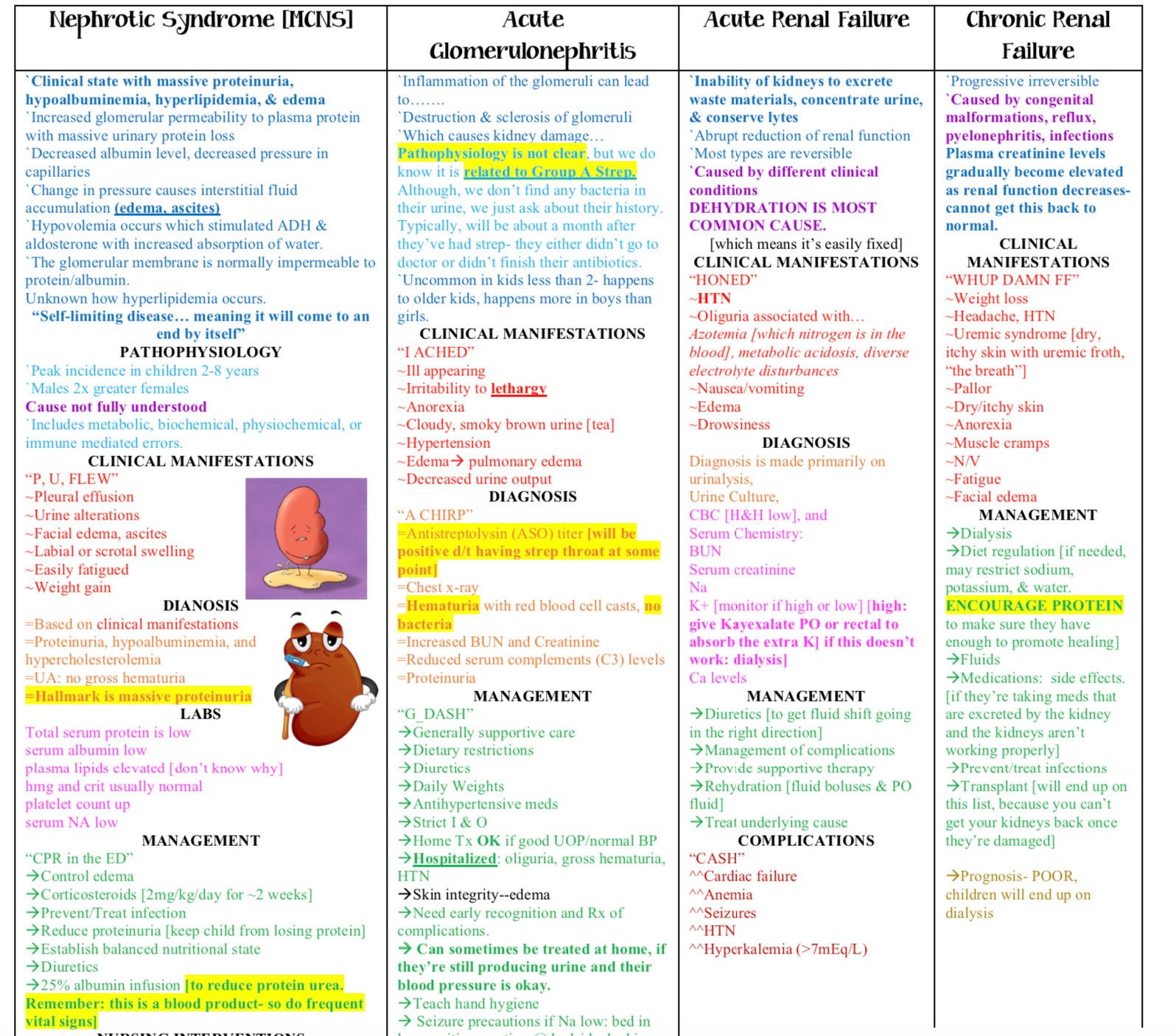 Modules One Two & Three: Pediatric Nursing Study Guide - Etsy