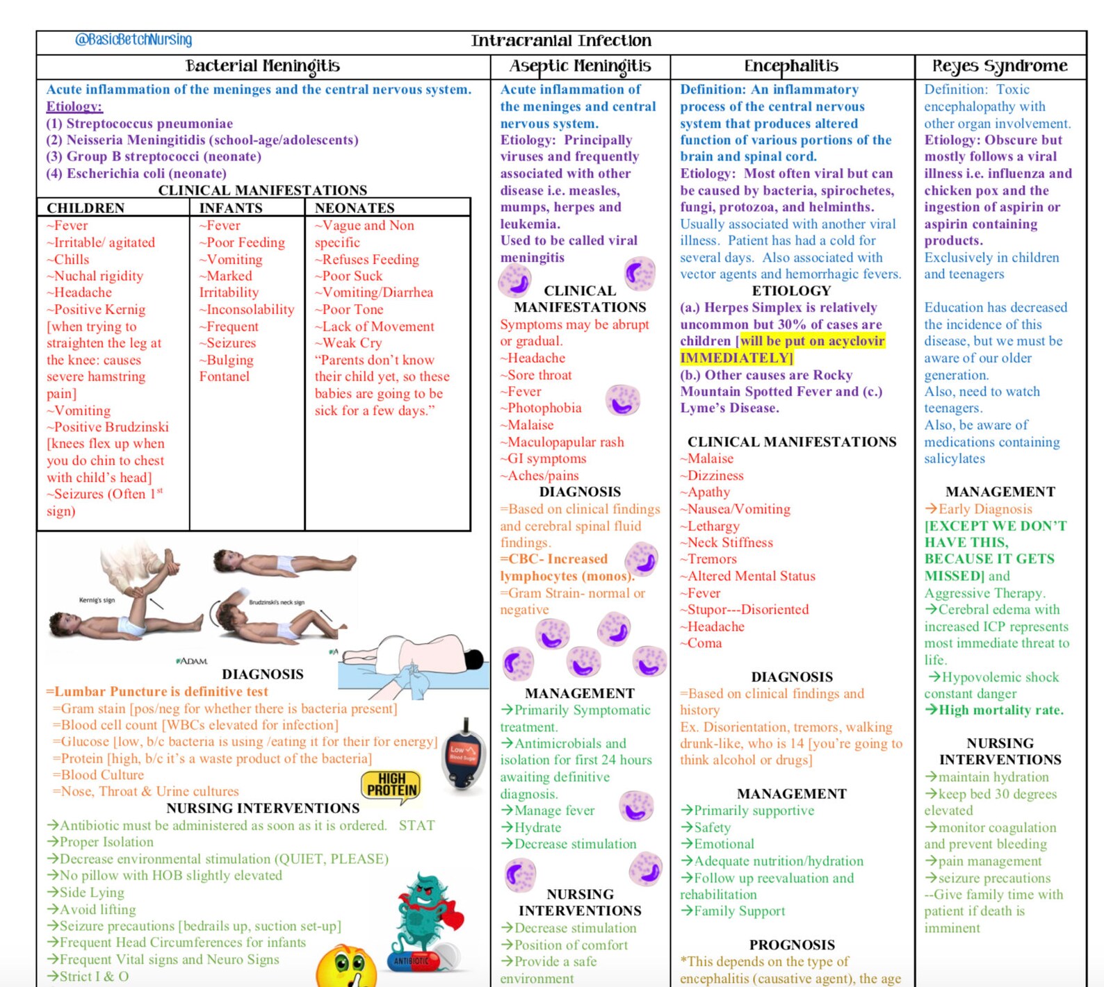 Pediatric Module Three: Pediatric Nursing Study Guide - Etsy